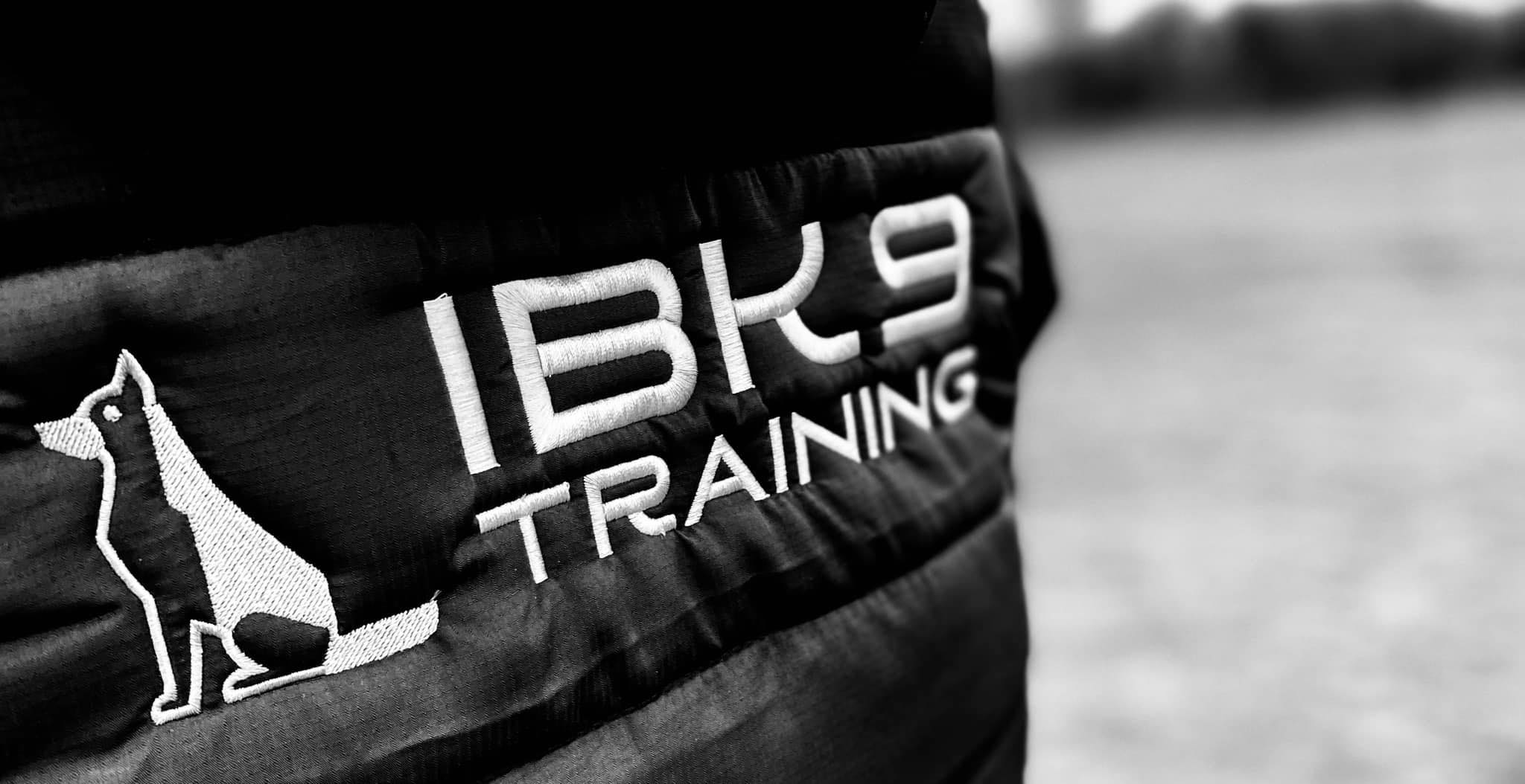 Dog Training Southend on Sea Essex | IBK9 Training